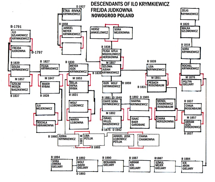 Nowogród Family Trees